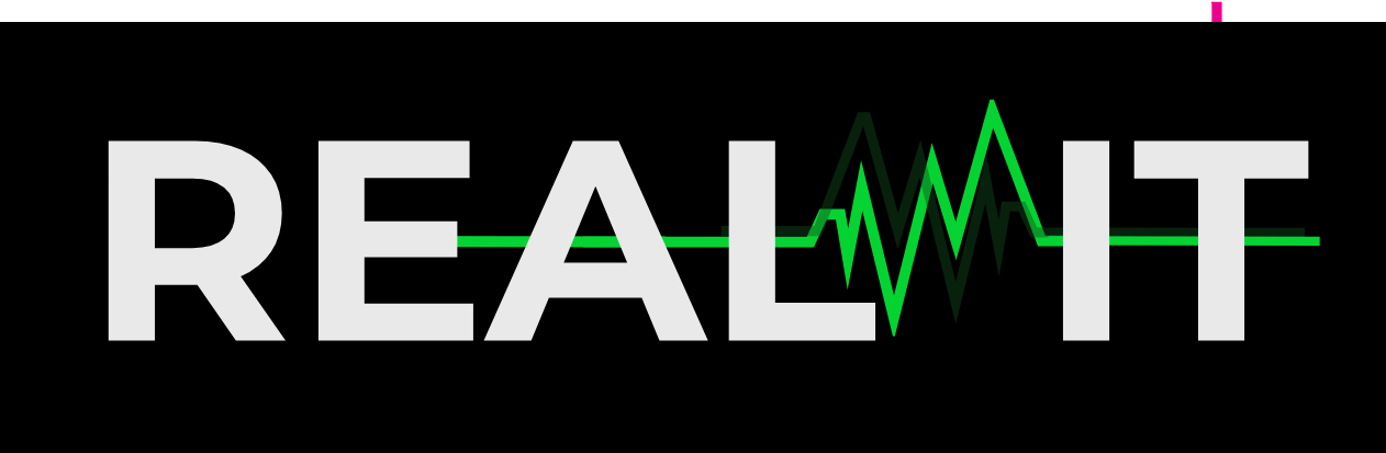 Real-it - Professional Real Estate Portfolio Management